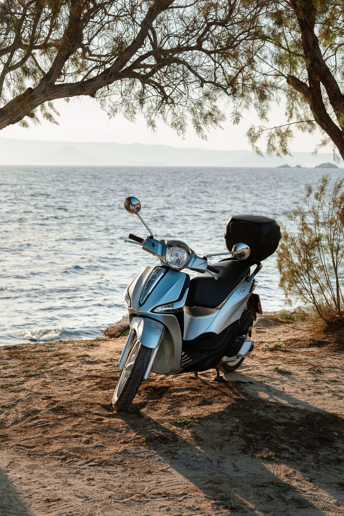 Sunny Rides | Official Booking Engine | the 1st Serverless Booking ...